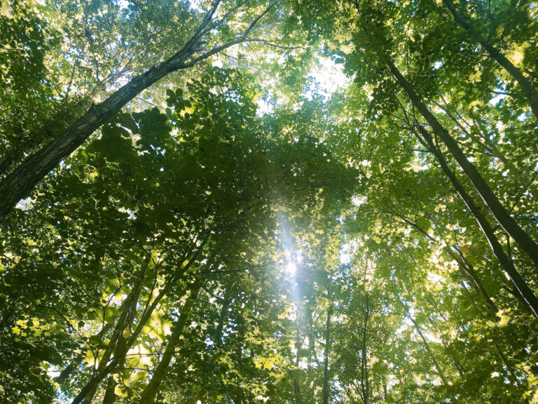 克服できないもの - (株)明朗｜はじめての不動産売買に明るく朗らかな未来を。(株)明朗｜はじめての不動産売買に明るく朗らかな未来を。